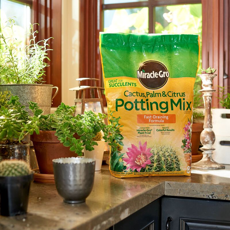 Miracle-Gro Cactus, Palm & Citrus Potting Mix | Miracle Gro
