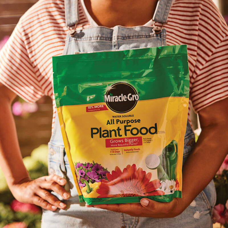 Miracle-Gro Water Soluble All Purpose Plant Food | Miracle Gro
