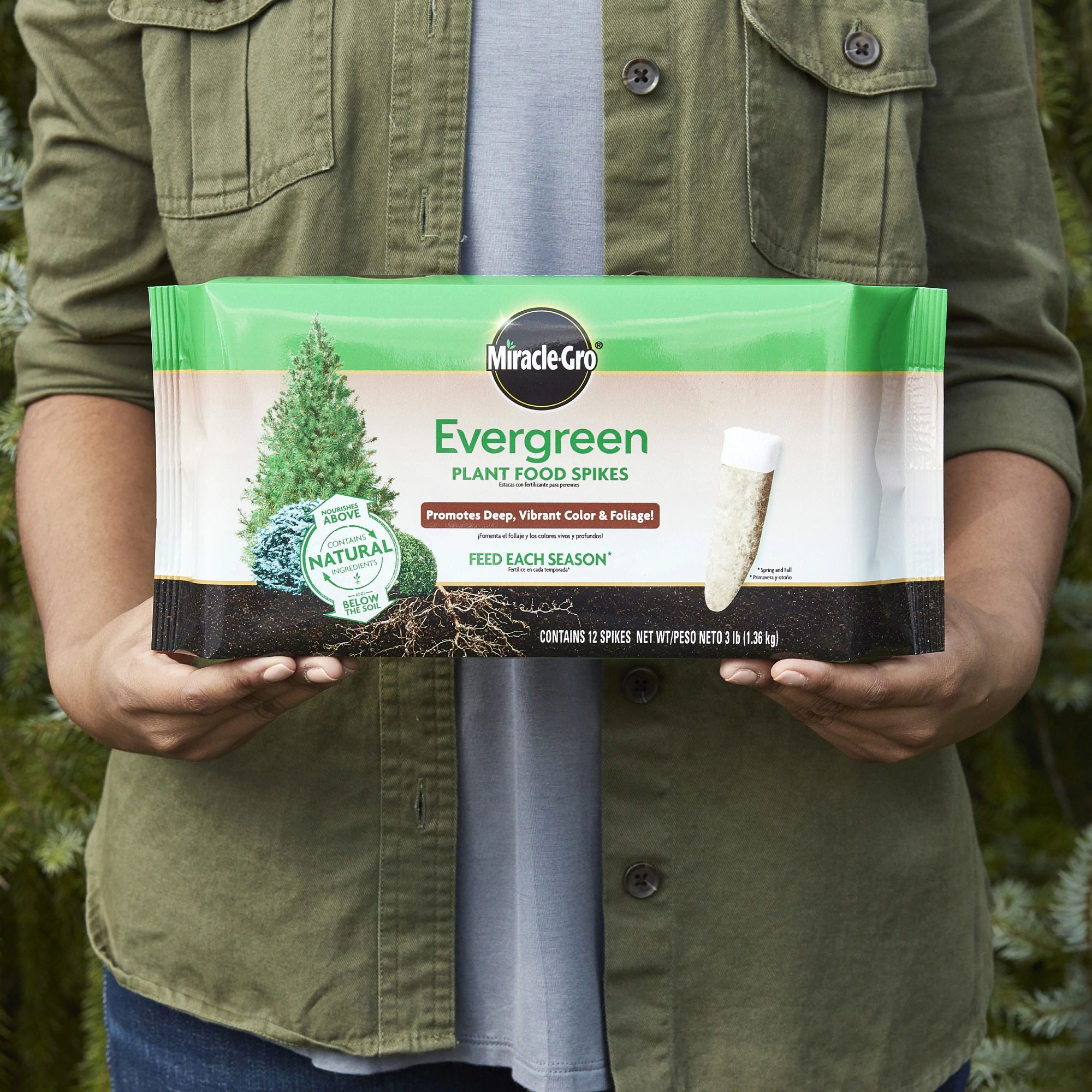 Miracle gro evergreen store