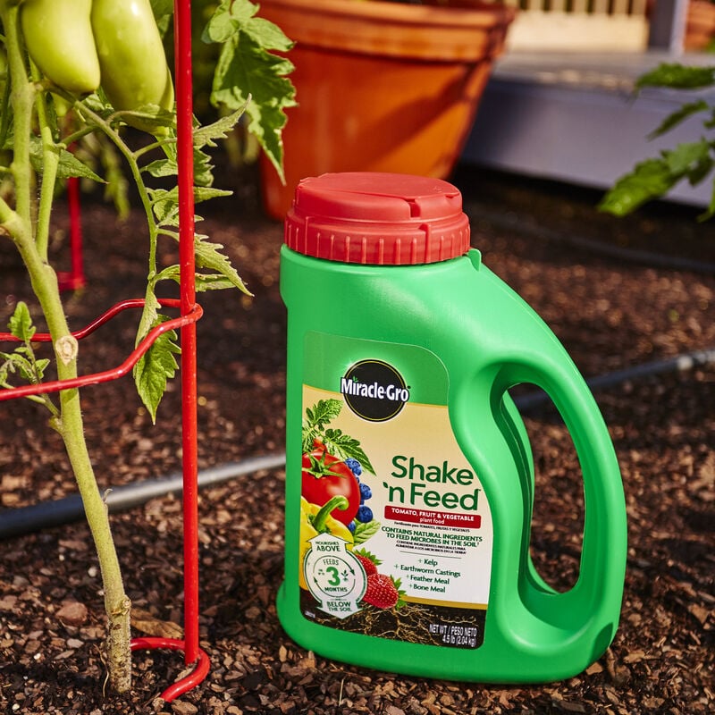 Miracle Gro Shake N Feed Tomato Fruit And Vegetable Plant Food