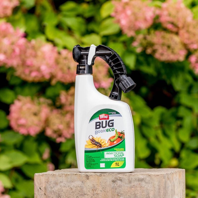 Ortho® Bug B Gon® ECO Insecticidal Soap Ready-To-Spray Concentrate Ortho® Bug B Gon® ECO Insecticidal Soap Ready-To-Spray Concentrate