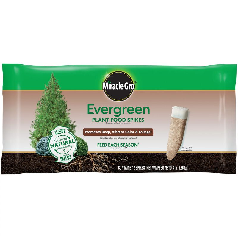 Miracle-Gro Evergreen Plant Food Spikes | Miracle Gro