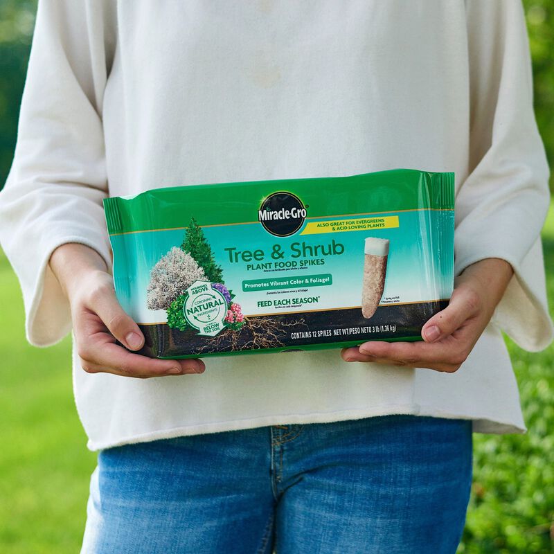 Miracle-Gro® Tree & Shrub Plant Food Spikes | Miracle Gro