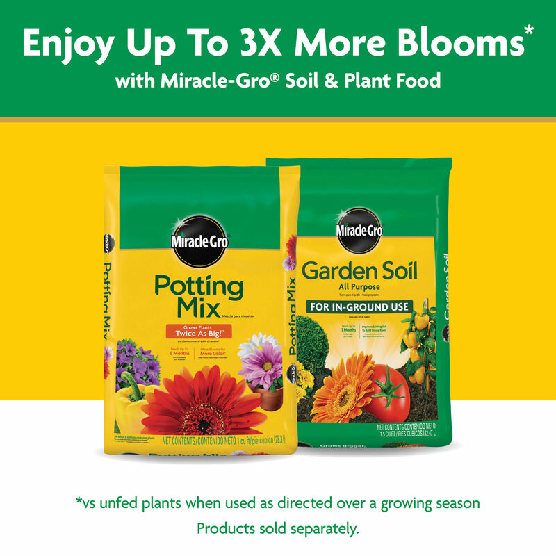 Miracle-Gro Water Soluble All Purpose Plant Food | Miracle Gro