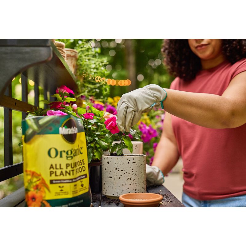 Miracle-Gro Organic™ All Purpose Plant Food