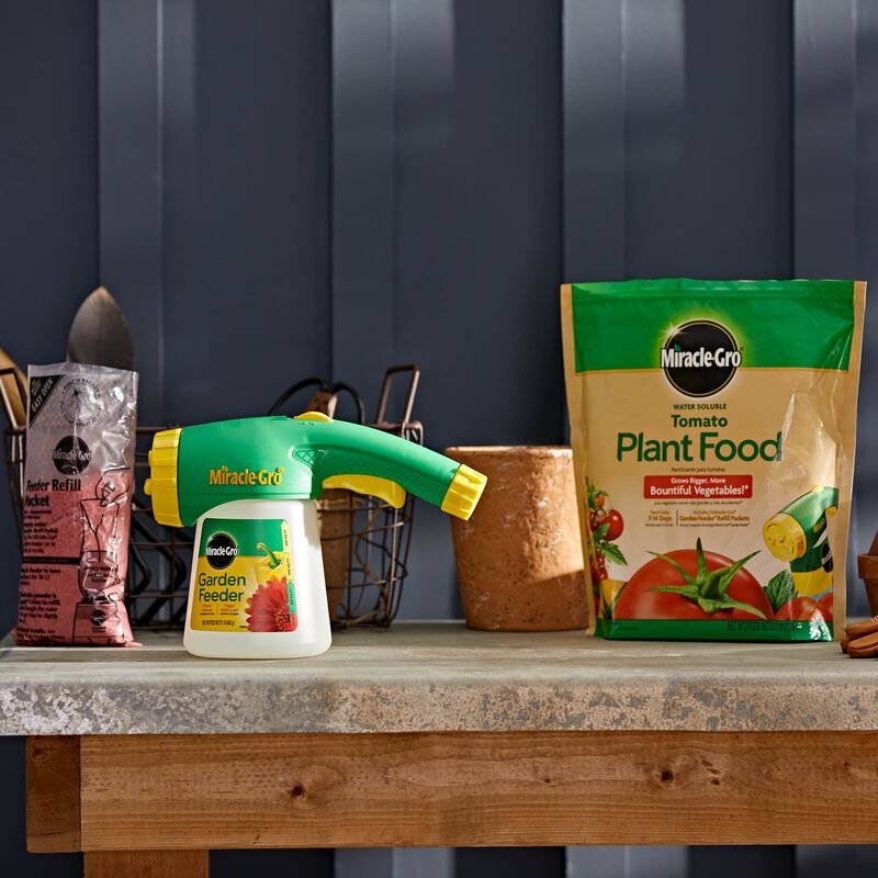 Miracle-Gro Water Soluble Tomato Plant Food | Miracle Gro
